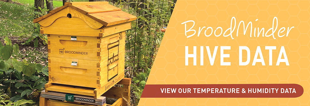 Beekeeping Supplies & Education | Betterbee