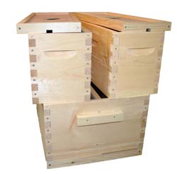 Too late to start double NUC? | Beesource Beekeeping Forums