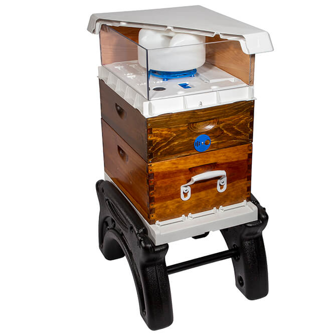 Bee Smart Insulated Inner Cover | Betterbee