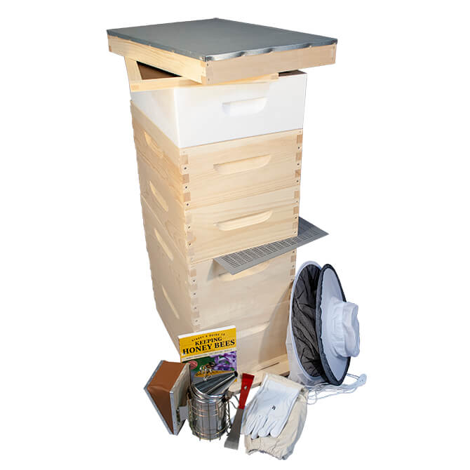 Bee hive starter kit store