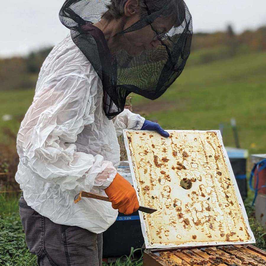 Packable Pullover Jacket | Betterbee